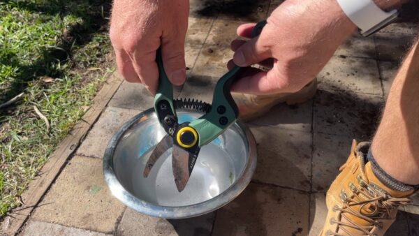 How to Clean Secateurs: A Step-by-Step Guide - Garden Knocks