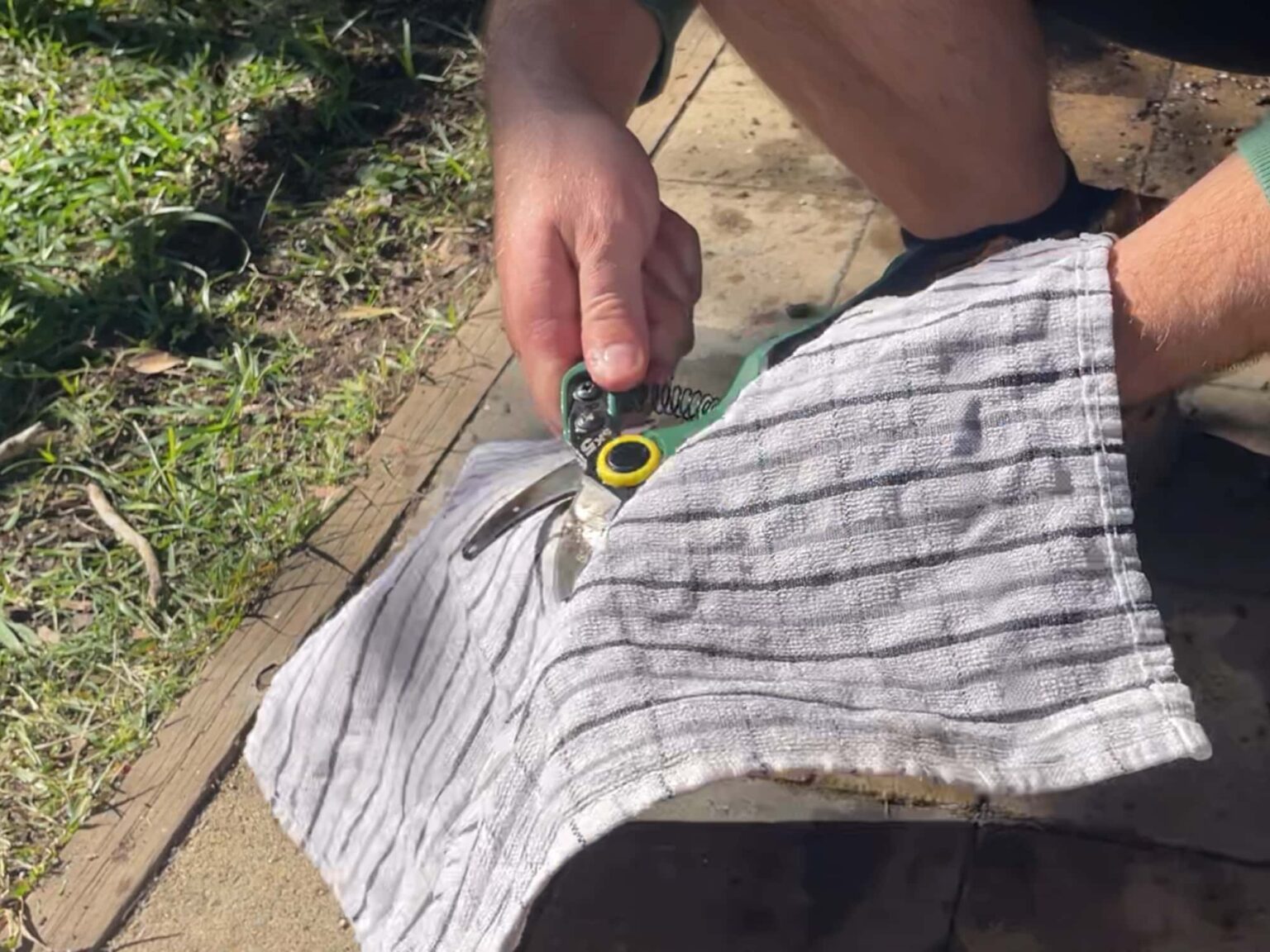 How to Clean Secateurs: A Step-by-Step Guide - Garden Knocks